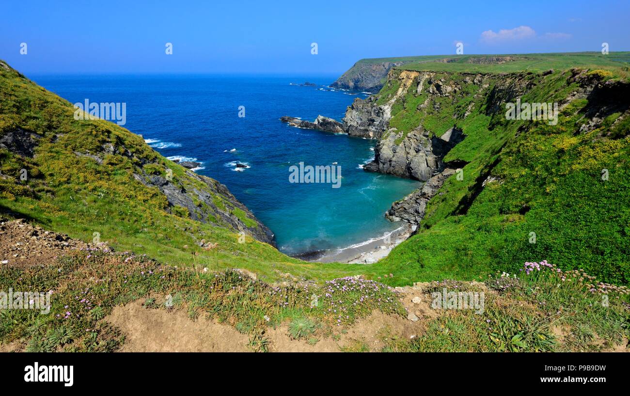 Seal view point, Godrevy point,Gwithian,Godrevy heritage coast,Cornwall ...