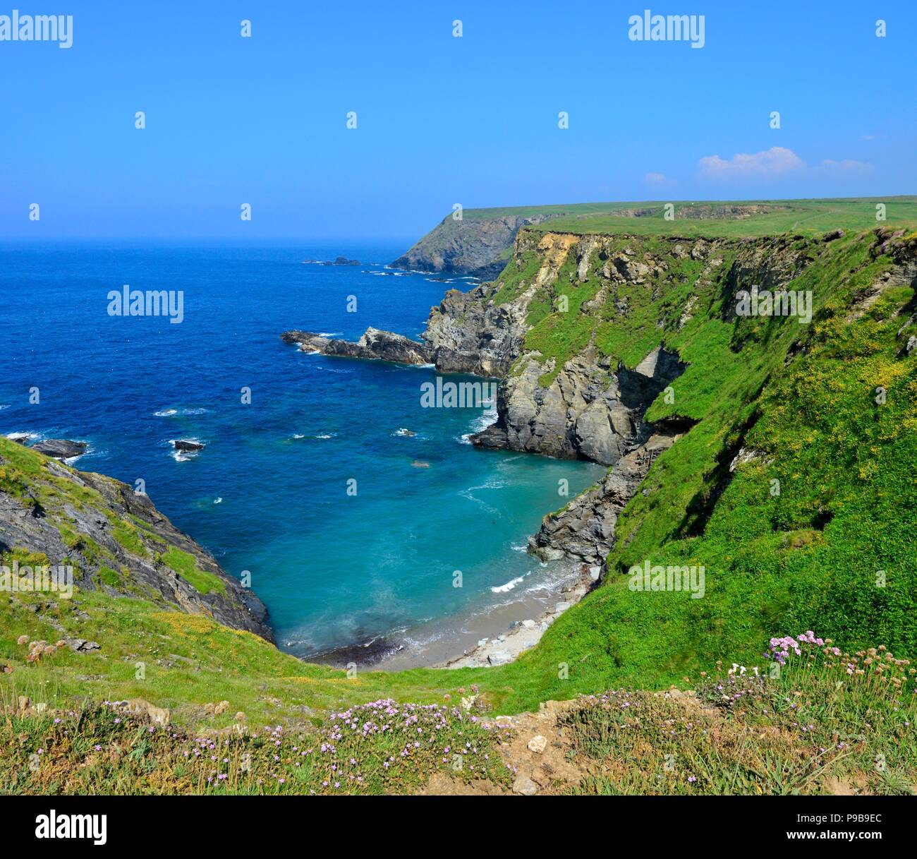 Seal view point, Godrevy point,Gwithian,Godrevy heritage coast,Cornwall ...