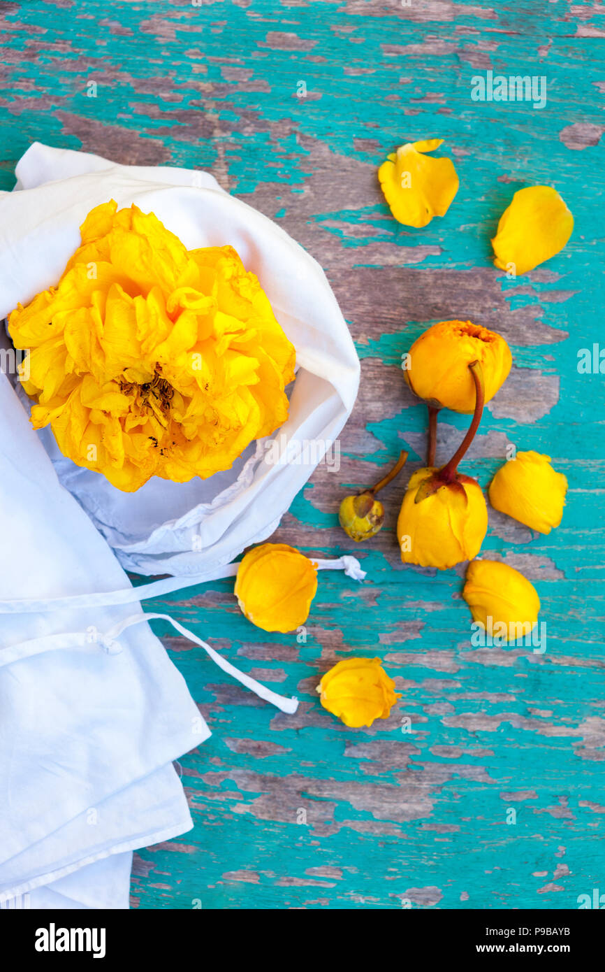 Yellow silk cotton tree hi-res stock photography and images - Alamy