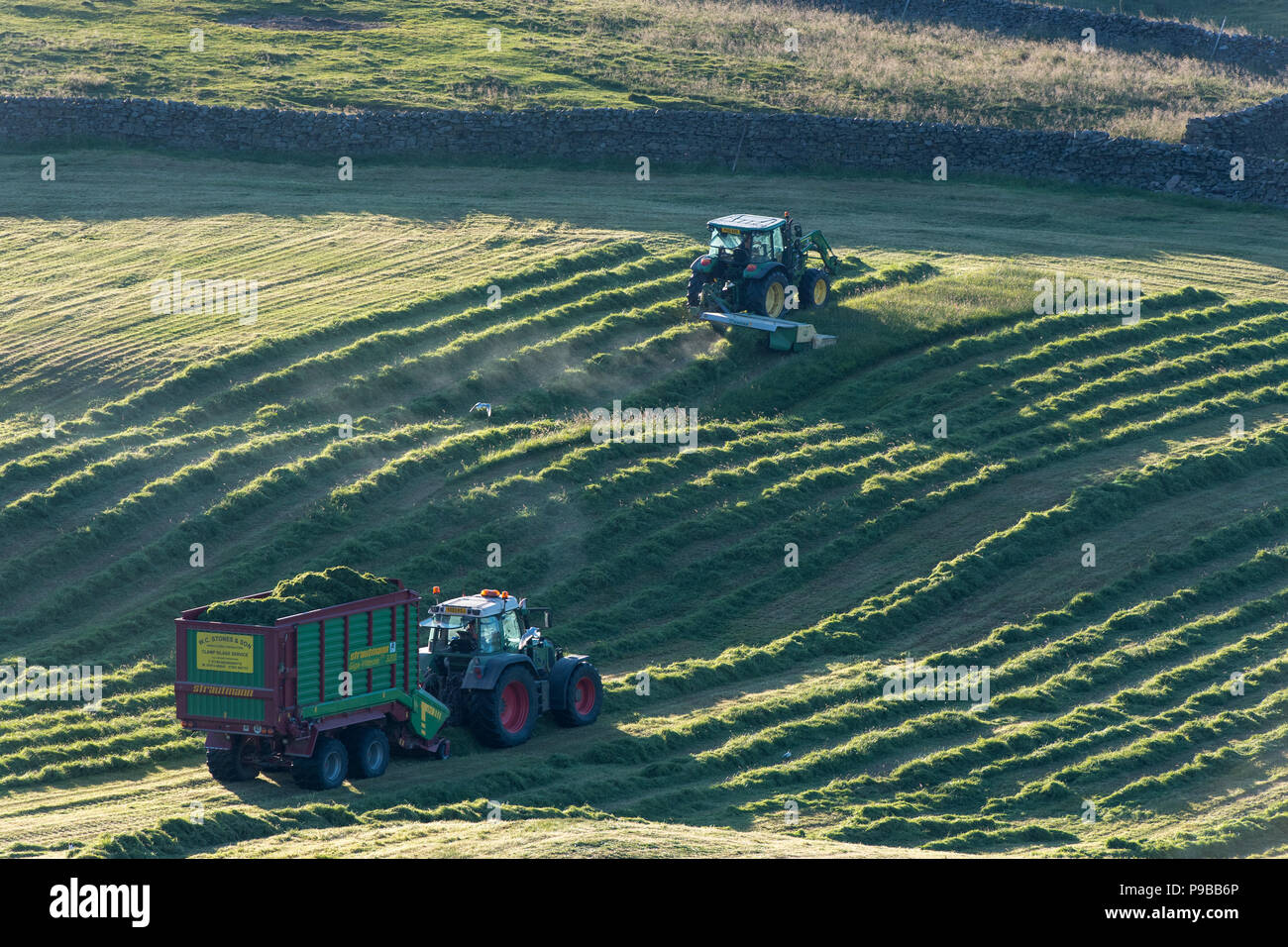 Time to mow hi-res stock photography and images - Alamy