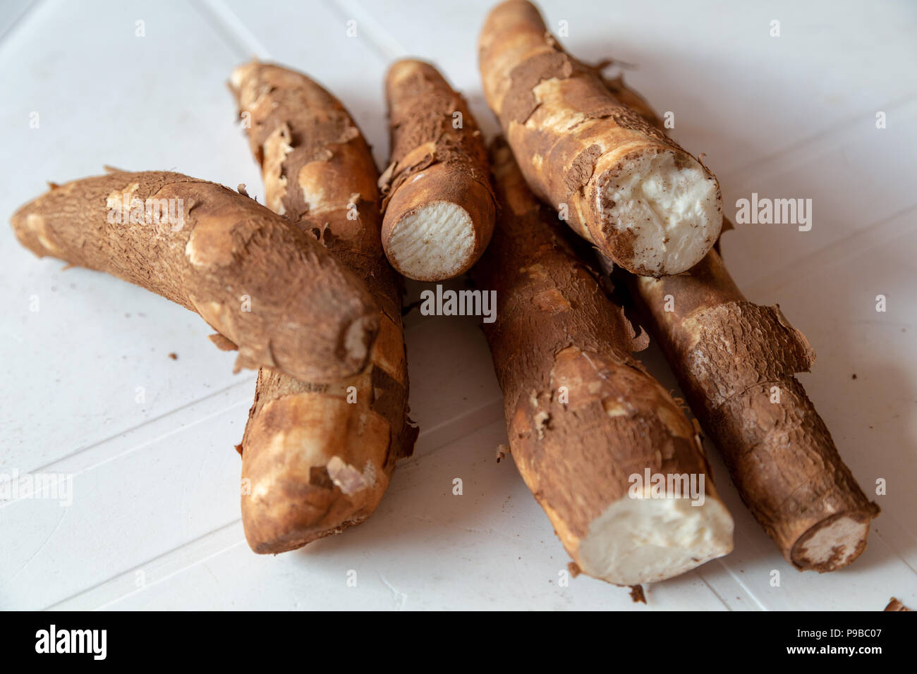 Tapioca plants hi-res stock photography and images - Alamy