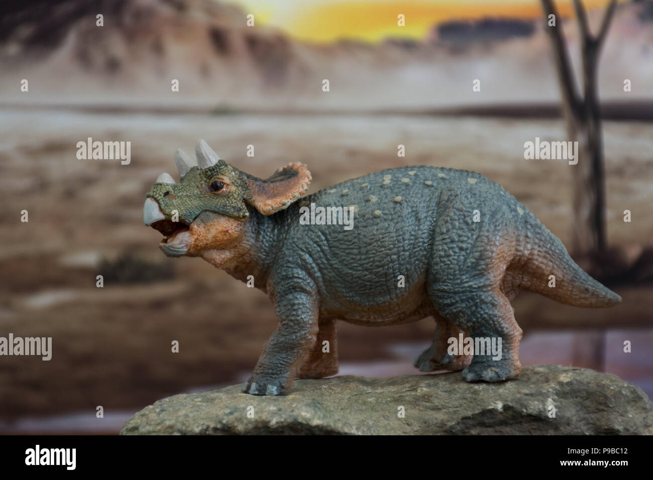Baby tricaratops on jurassic land Stock Photo - Alamy