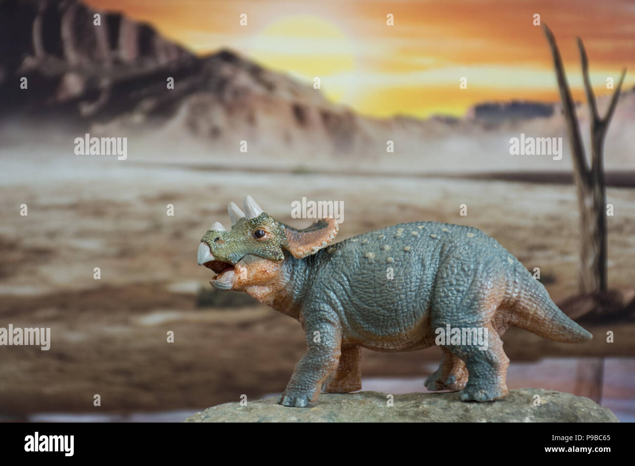 Baby dinosaur skeleton hi-res stock photography and images - Alamy