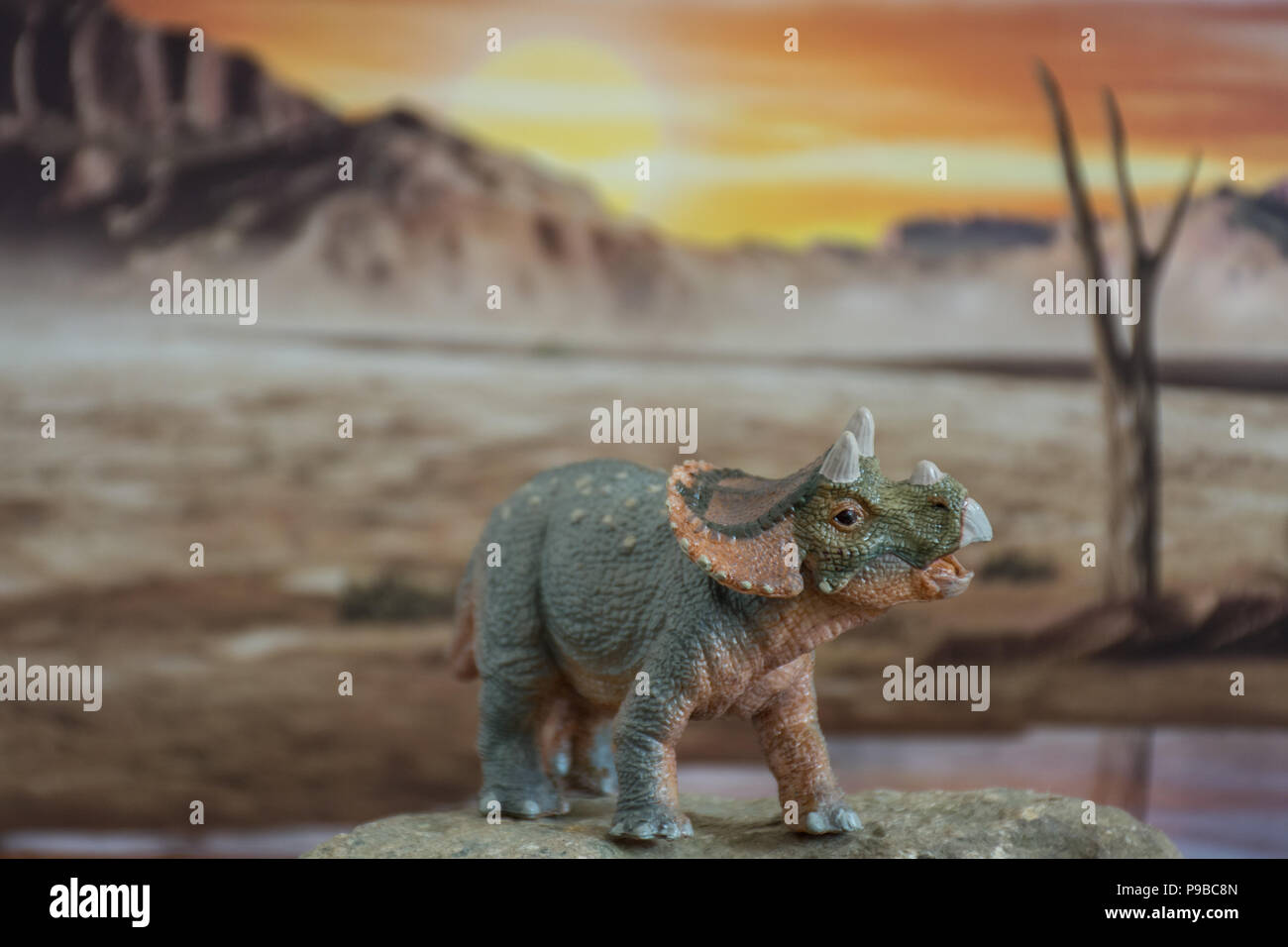Baby triceratops hi-res stock photography and images - Alamy