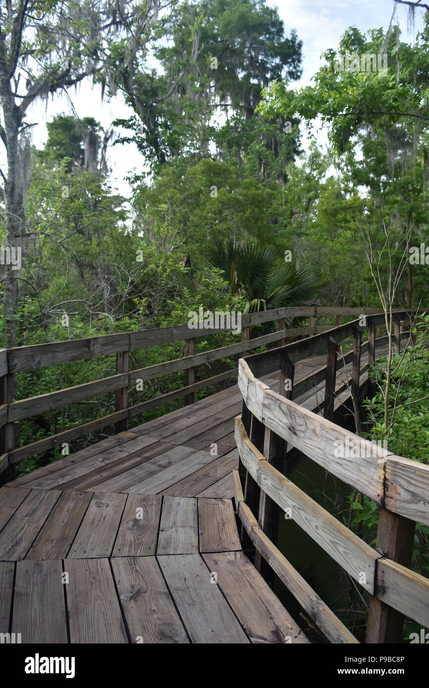 Barataria preserve wetlands hi-res stock photography and images - Alamy