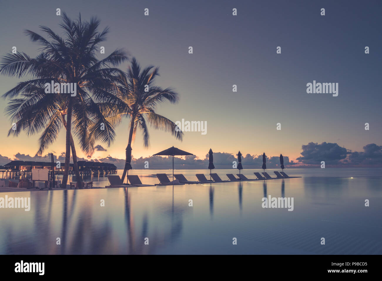 Luxury infinity beach pool in sunset time. Palm trees and calm weather ...