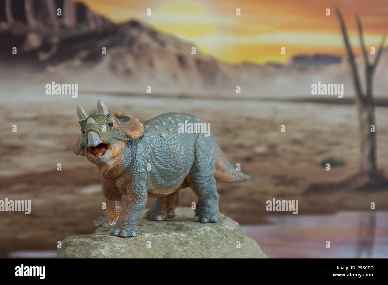 Baby dinosaur skeleton hi-res stock photography and images - Alamy