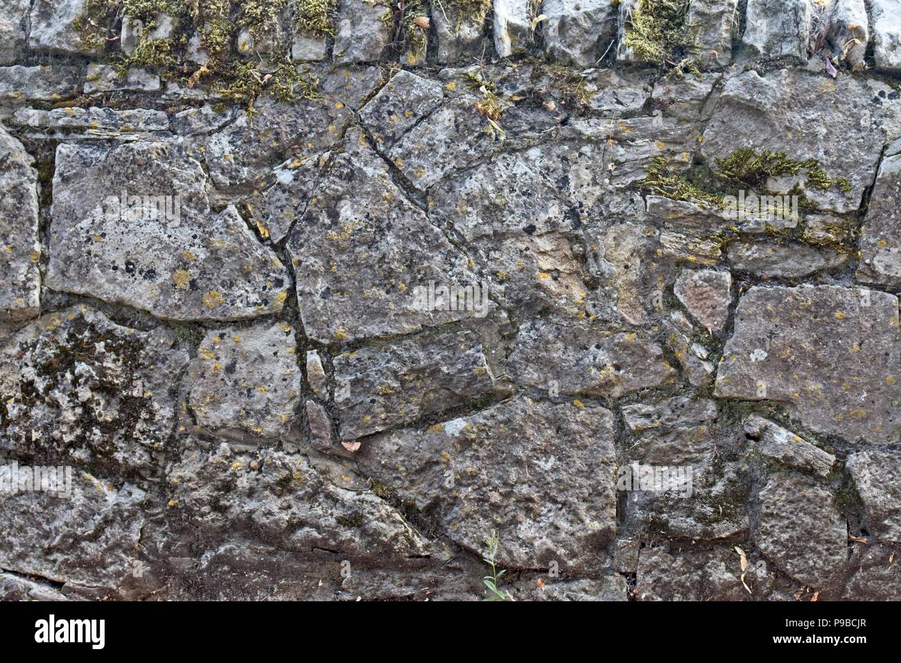 Sandstone wall with moss in sunshine Stock Photo - Alamy