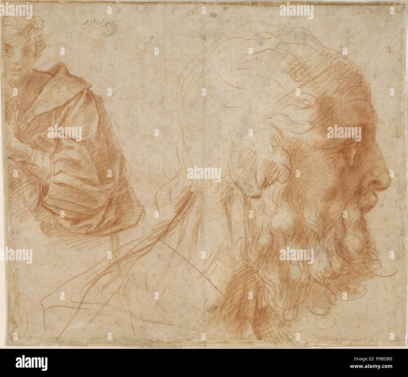 A youth and the head of an old man (Homer?). Study. Museum: Staatliche ...