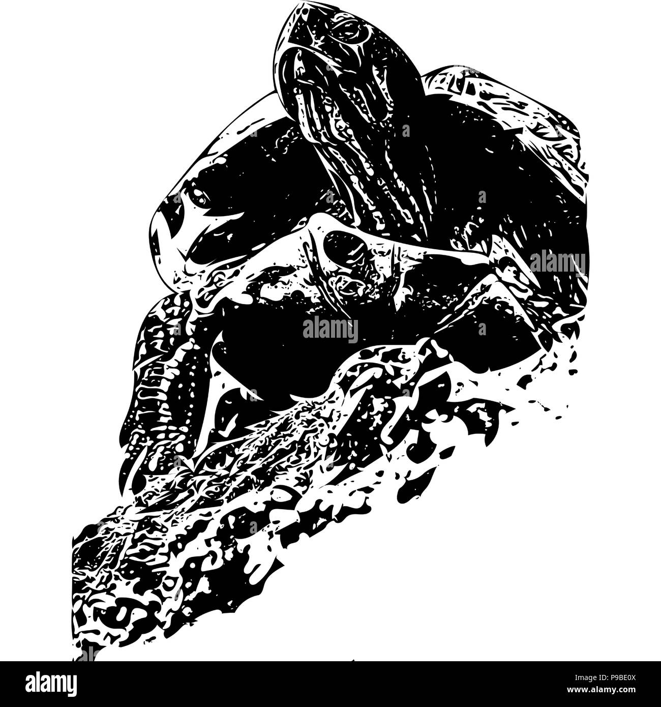 Black and white vector graphic of Yellow bellied slider turtle with its ...
