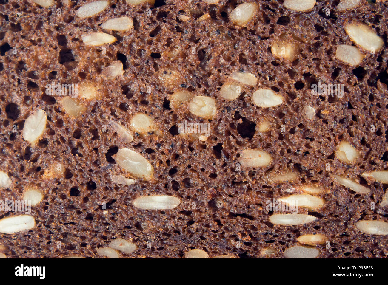 Porous section of dark bread with sunflower seeds closeup, may be used ...