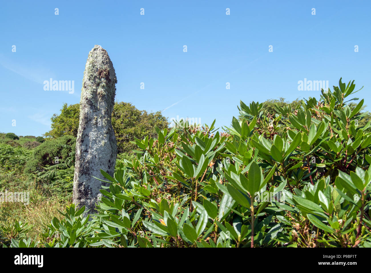 Carfury Menhir, Standing Stone near Bosiliack, Madron, Cornwall UK ...
