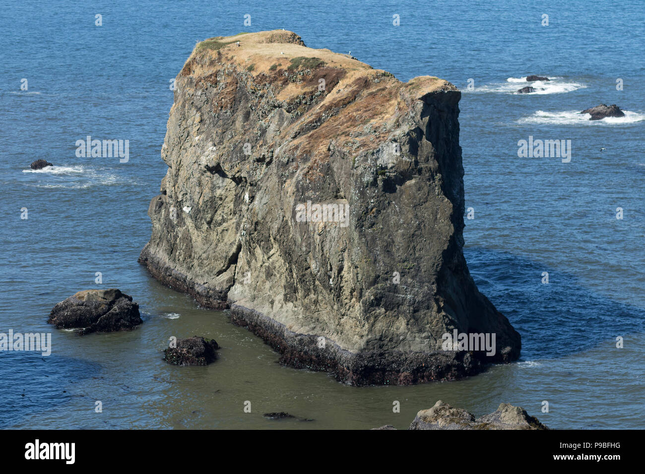 Scenic view along the Oregon coast. Oregon, Brookings, Arch Rock ...