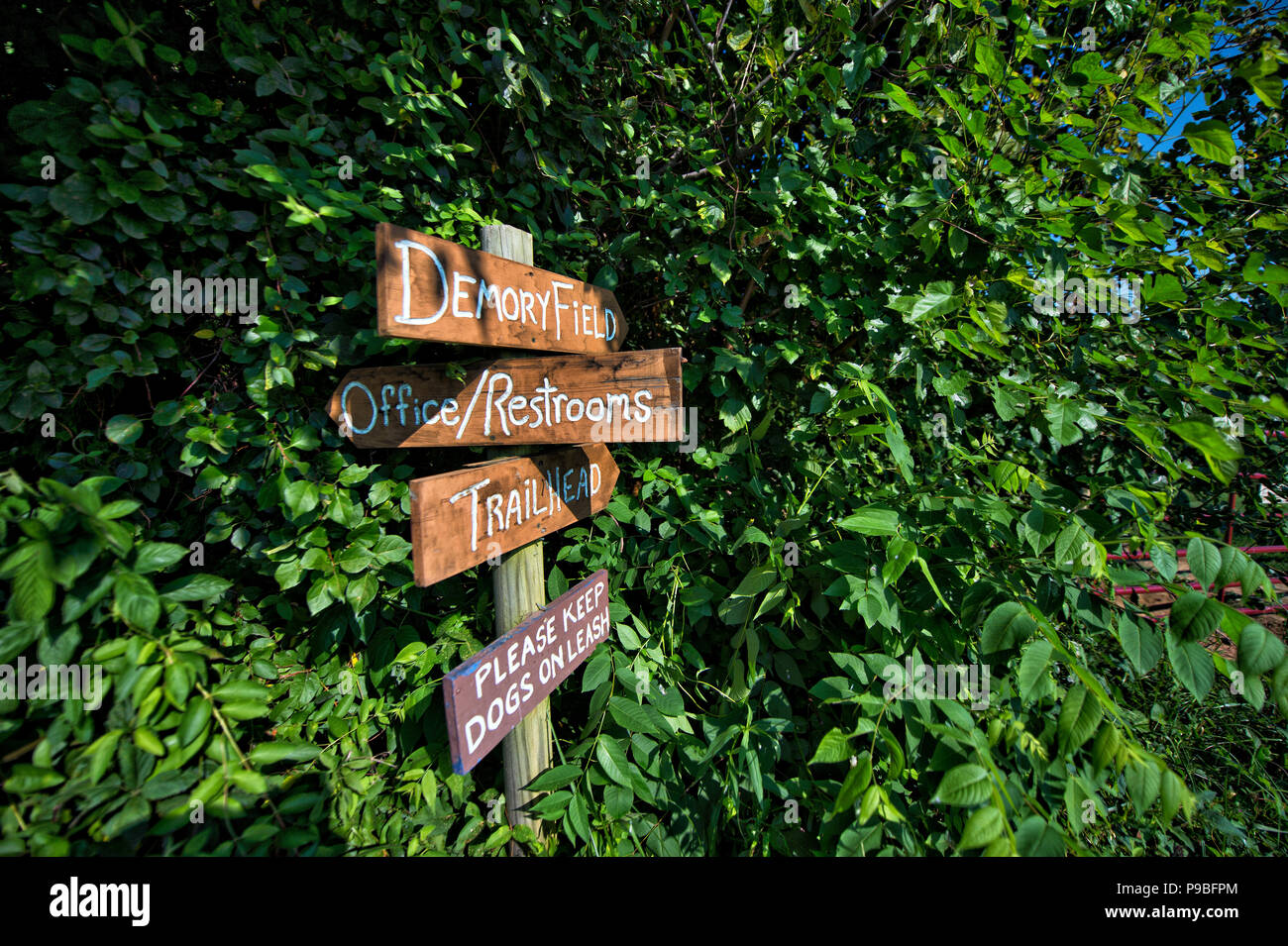 UNITED STATES: July 16, 2018: Trail signs at the main parking lot at ...