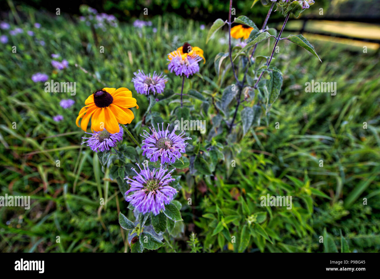 Natural resources conservation service hi-res stock photography and ...