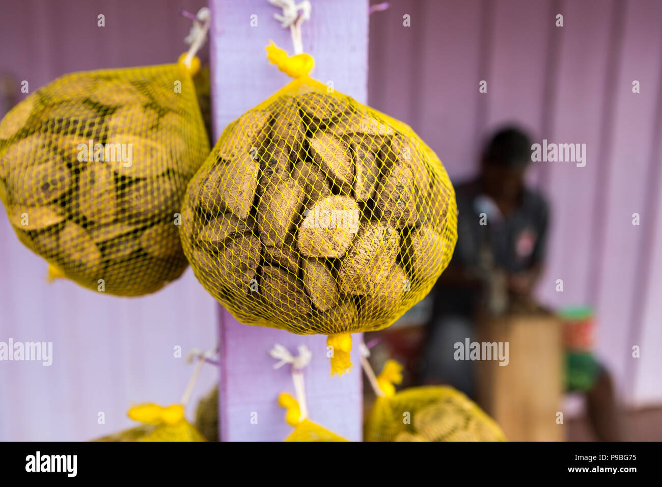 Brazil nut harvest hi-res stock photography and images - Alamy