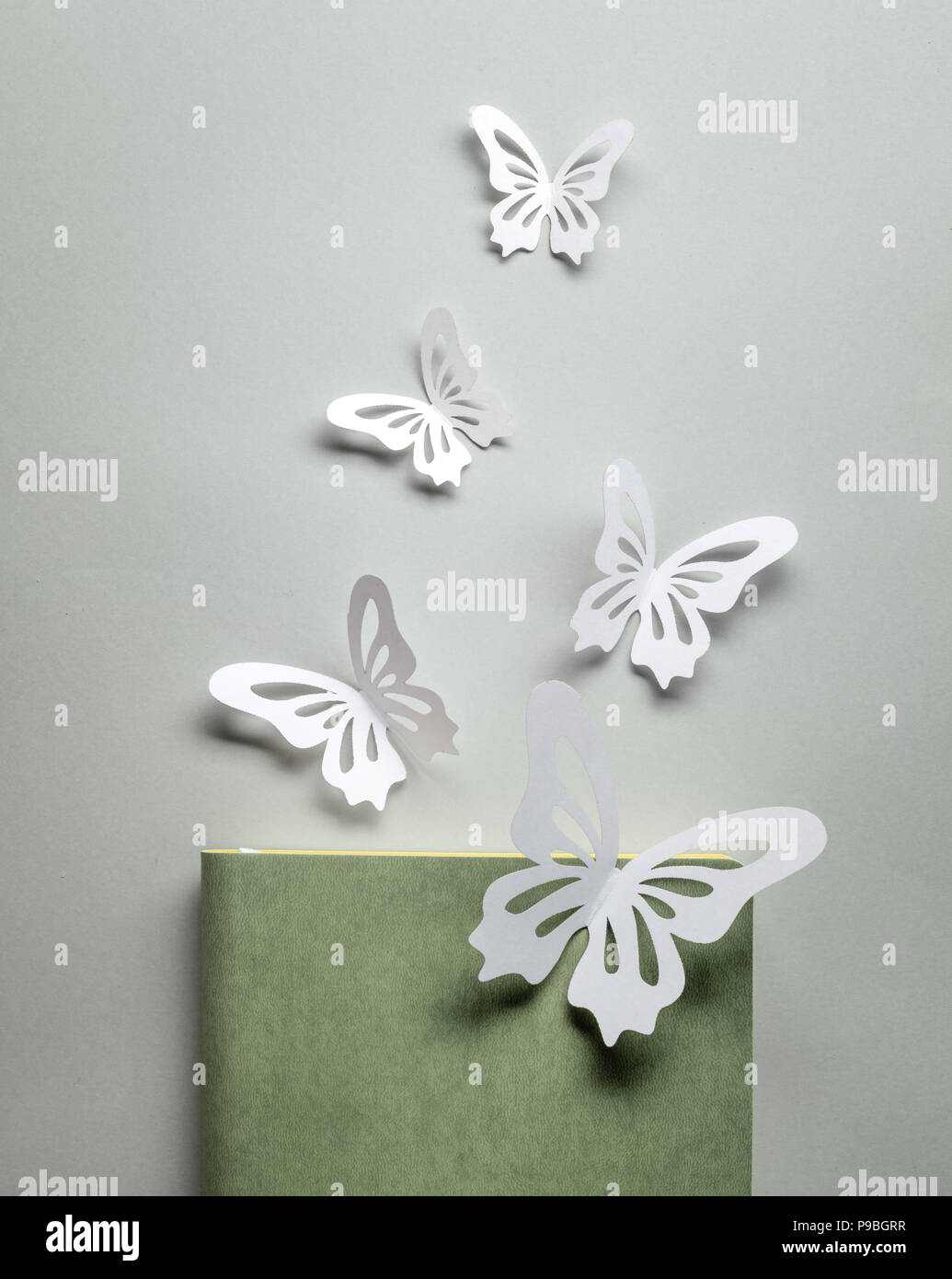 How to make paper butterflies hi-res stock photography and images - Alamy