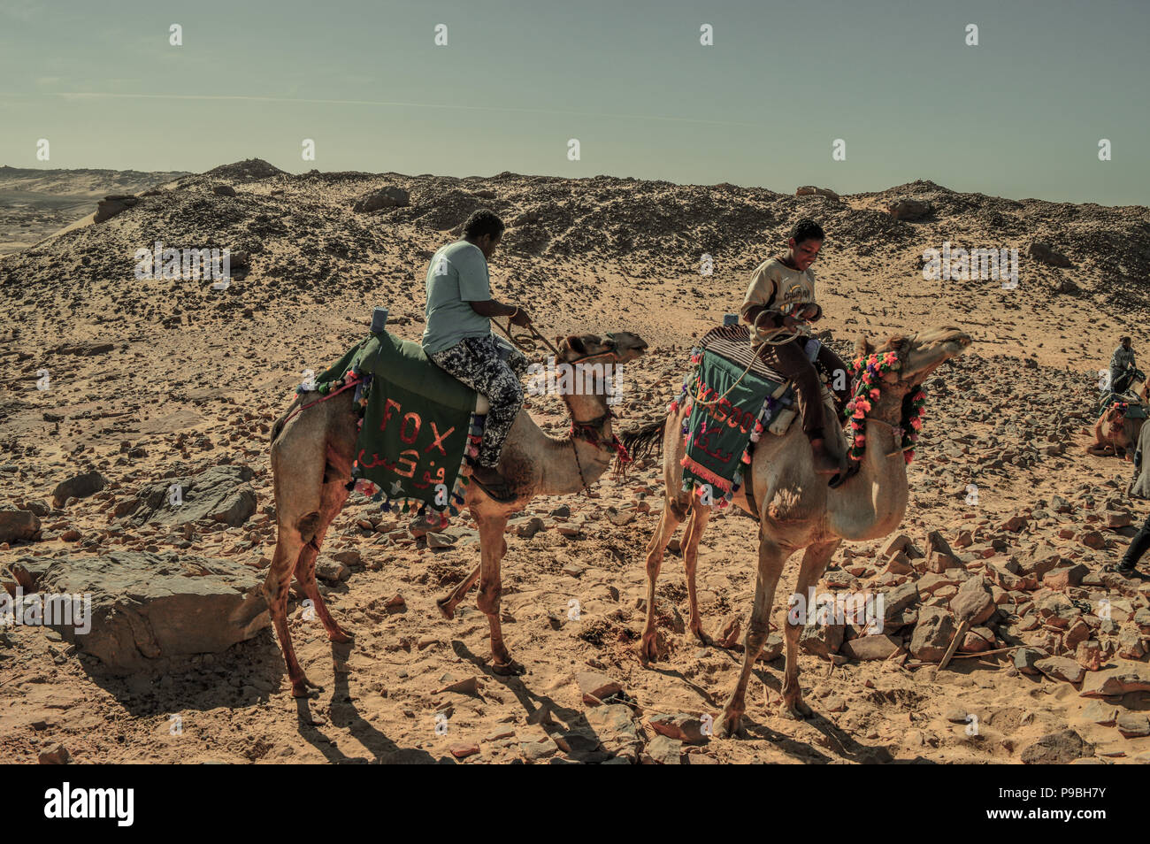 photo for aswan city in Egypt Stock Photo - Alamy