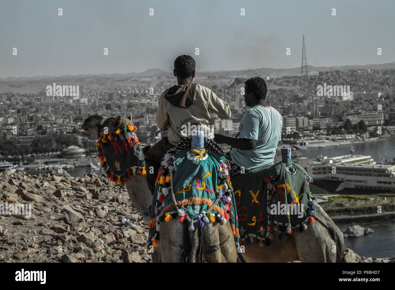 photo for aswan city in Egypt Stock Photo - Alamy