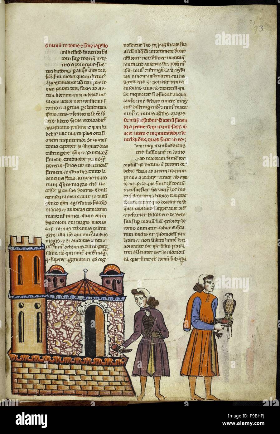 De Arte Venandi cum Avibus ("On The Art of Hunting with Birds"). Museum ...