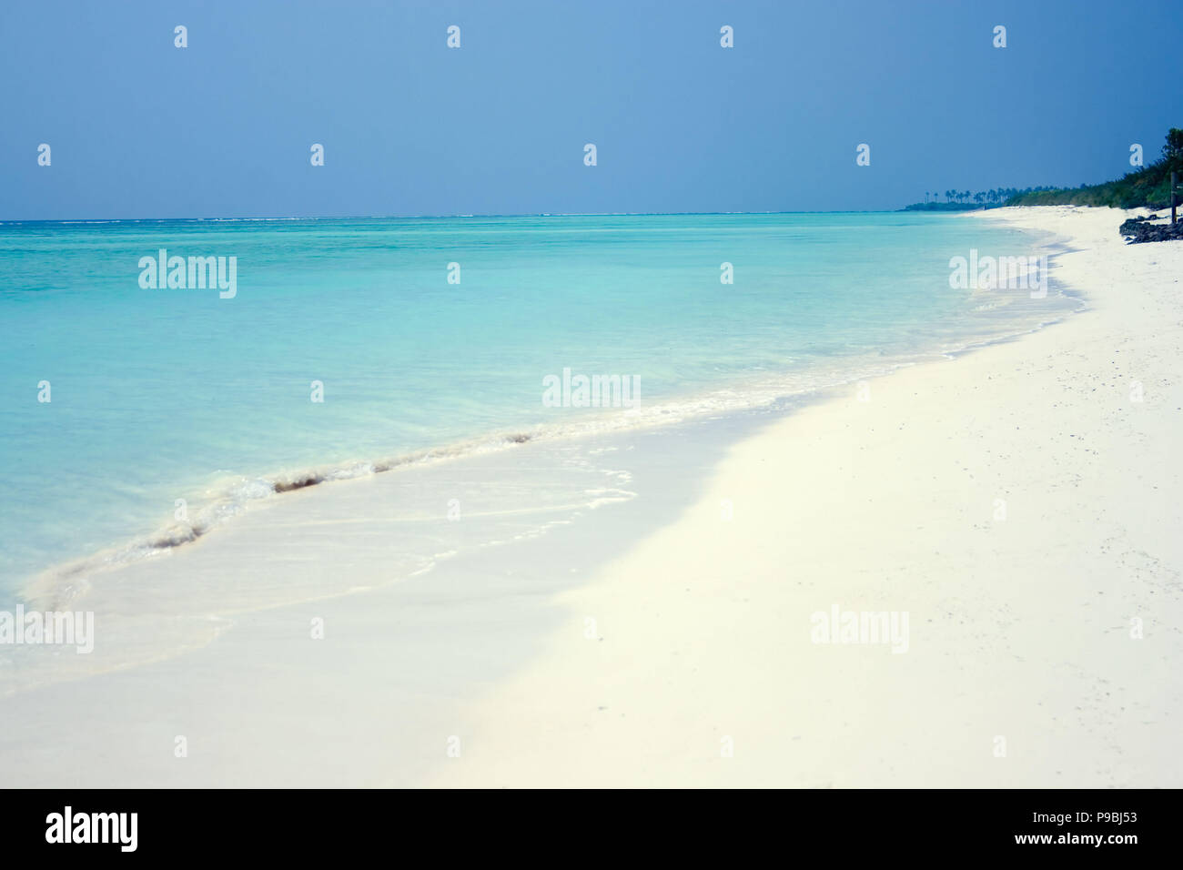 Beautiful tropical beach at the Agatti island Stock Photo - Alamy