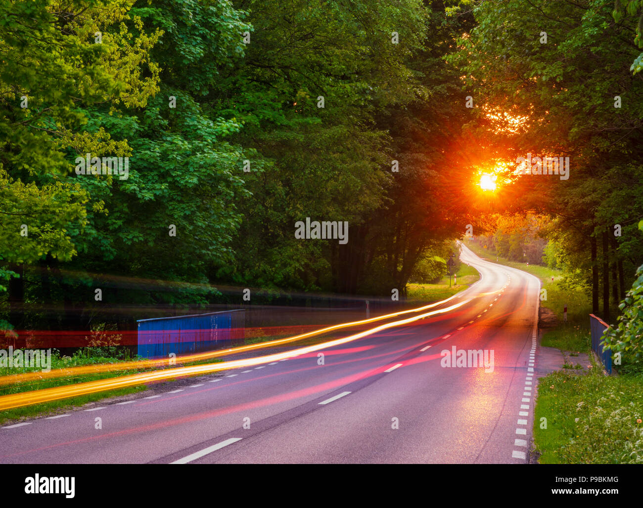 road and bridge in the forest during sunset Stock Photo - Alamy