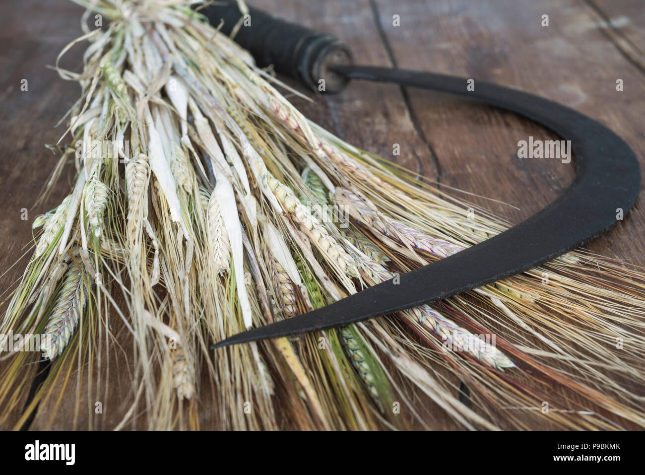 Vintage sickle hi-res stock photography and images - Alamy