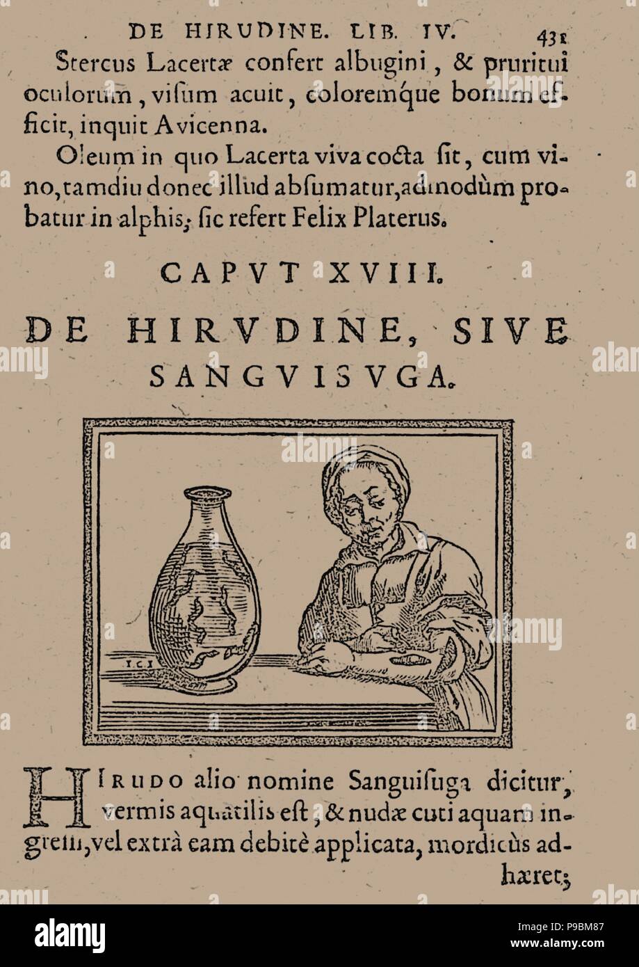 Leeches medicine hi-res stock photography and images - Alamy