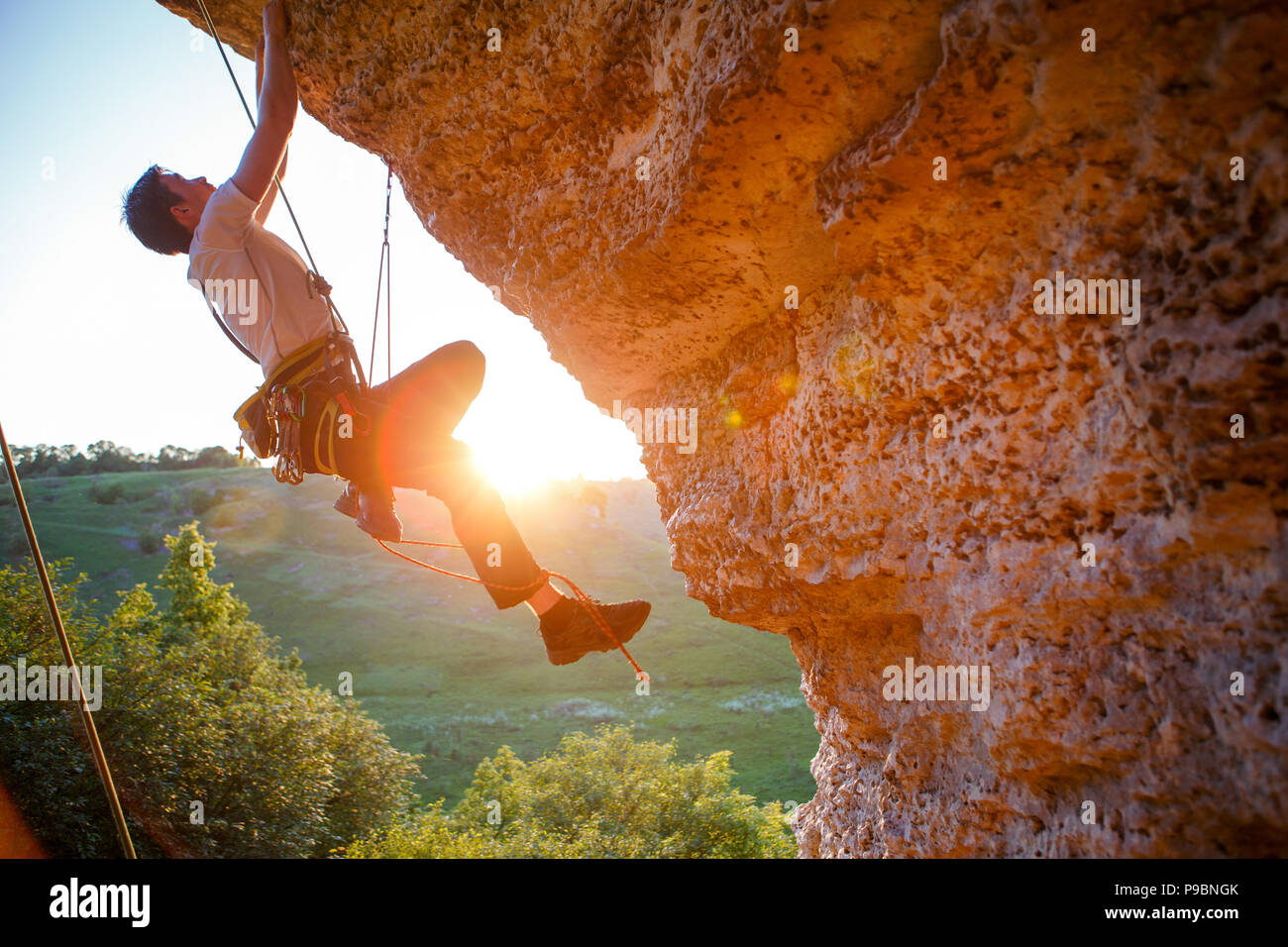 Plants for difficult area hi-res stock photography and images - Alamy