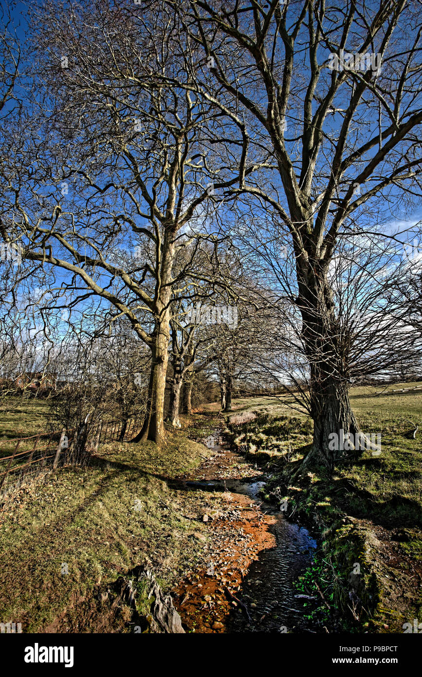 Repton abbey hi-res stock photography and images - Alamy