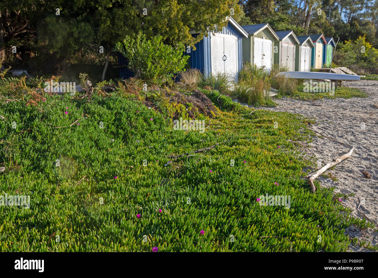 Coningham tasmania hi-res stock photography and images - Alamy