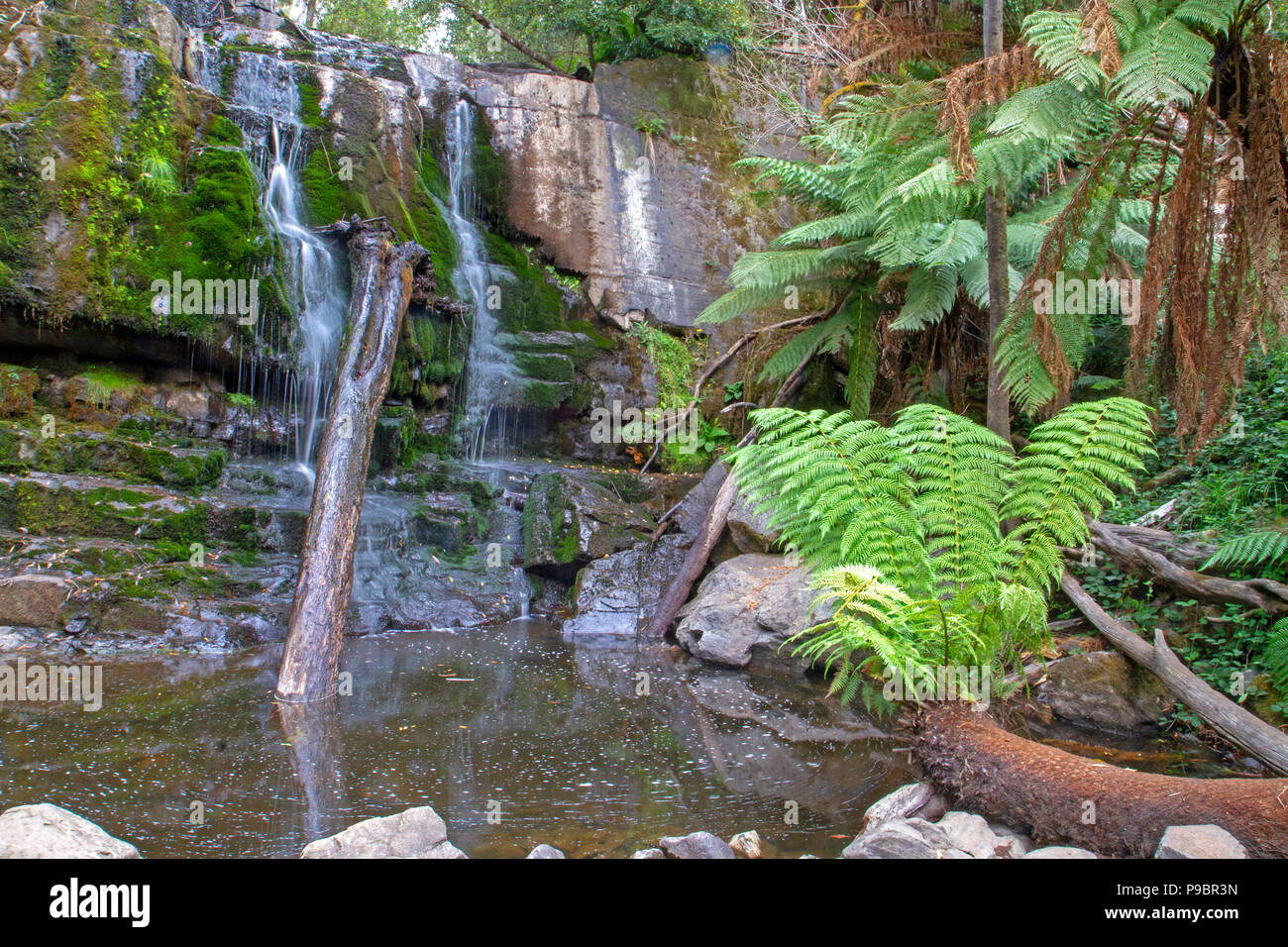 Lilydale hi-res stock photography and images - Alamy