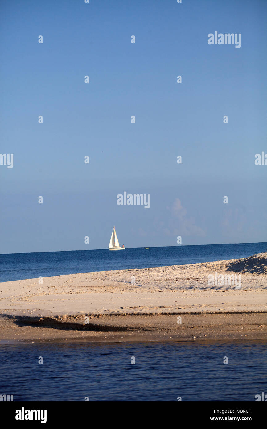Sailboat glides across the bright blue ocean in Gulf Coast of Florida ...