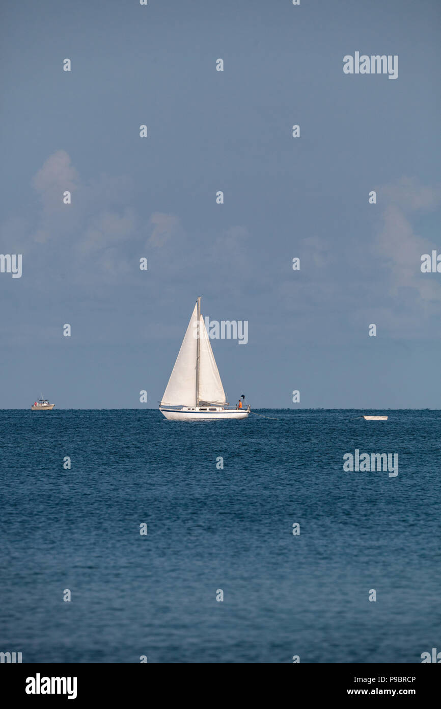 Sailboat glides across the bright blue ocean in Gulf Coast of Florida ...