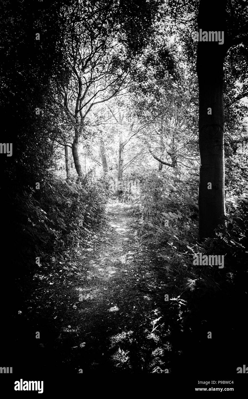 Dark places hi-res stock photography and images - Alamy