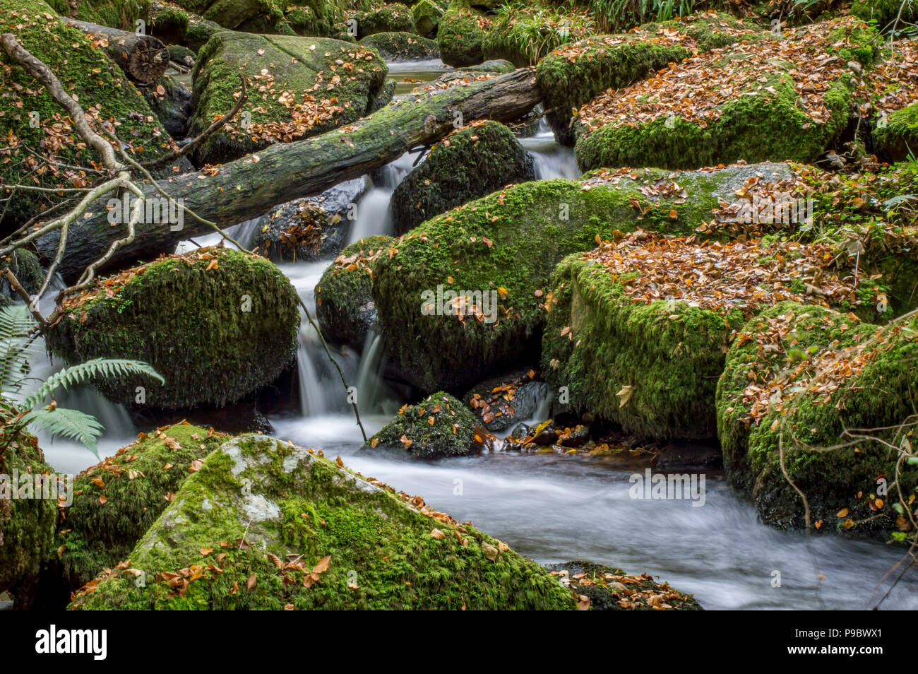 Kennal Vale Cornwall Stock Photo - Alamy