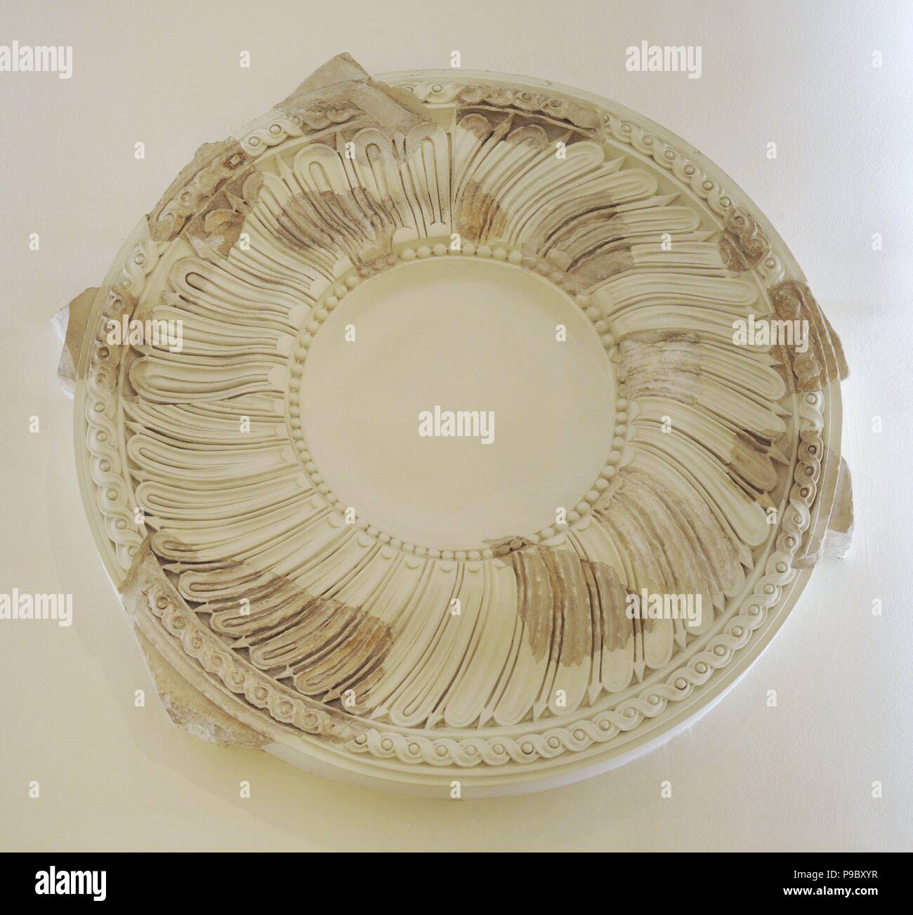 Clipeus hi-res stock photography and images - Alamy