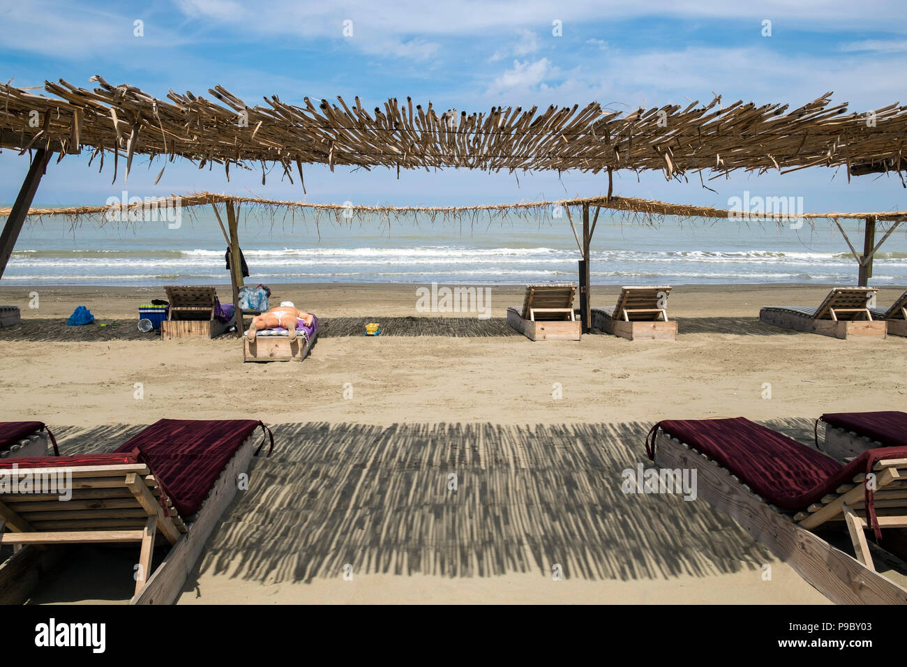 Divjake albania hi-res stock photography and images - Alamy