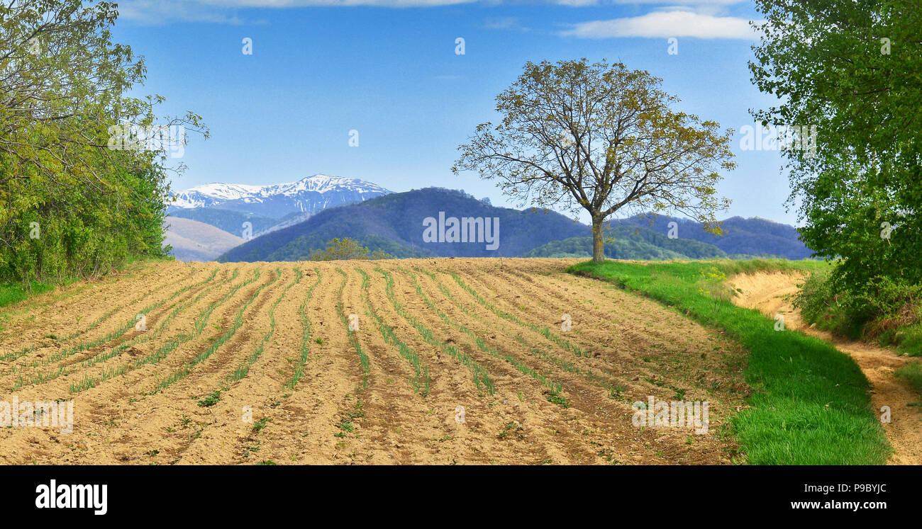 countryside and farming in rural romania Stock Photo - Alamy