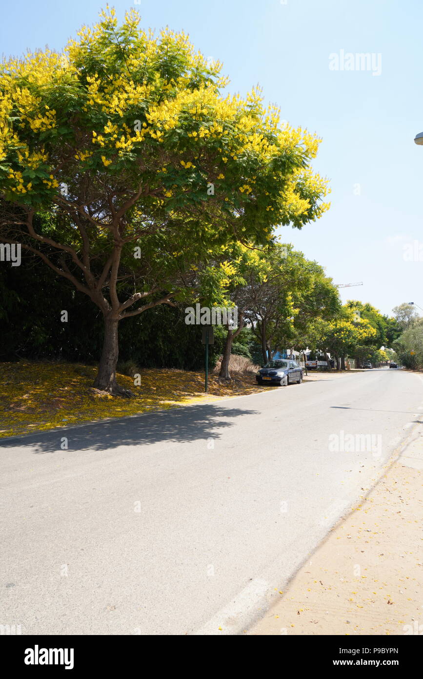 Old asfalt hi-res stock photography and images - Alamy