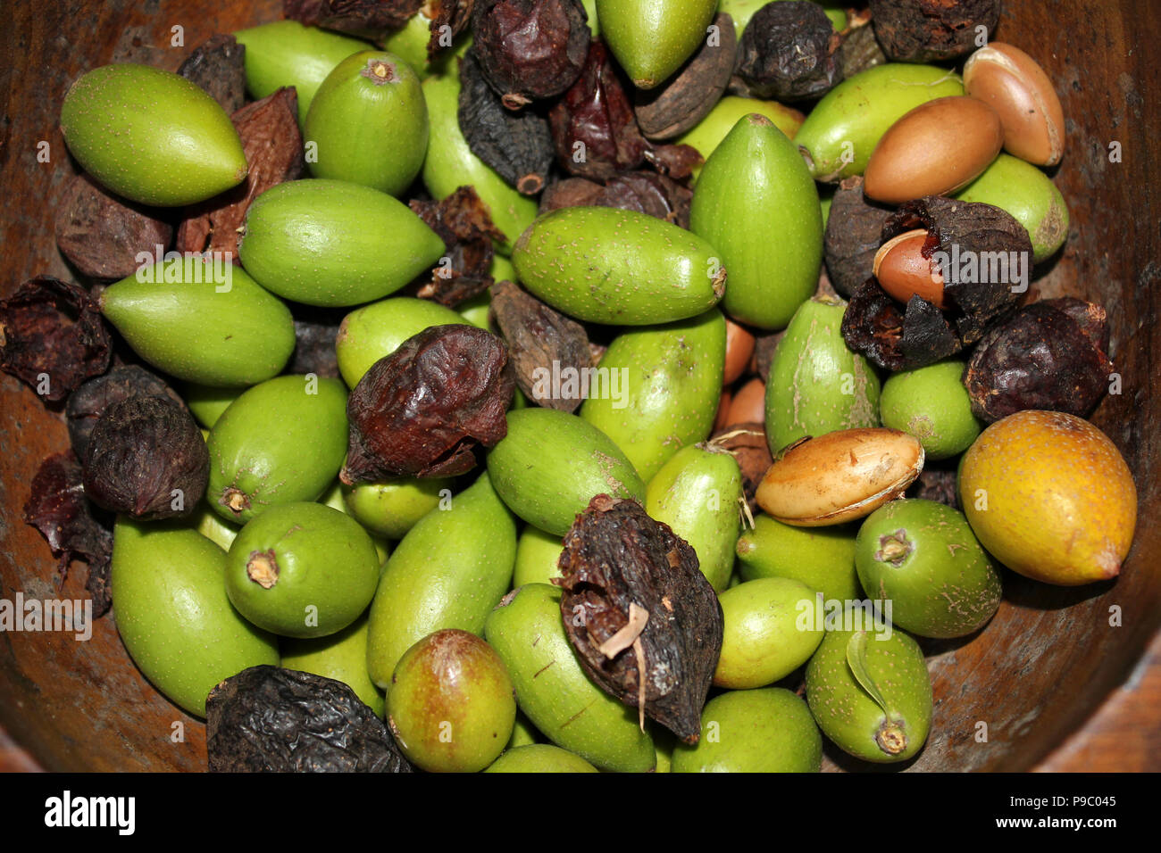 Argania hi-res stock photography and images - Alamy
