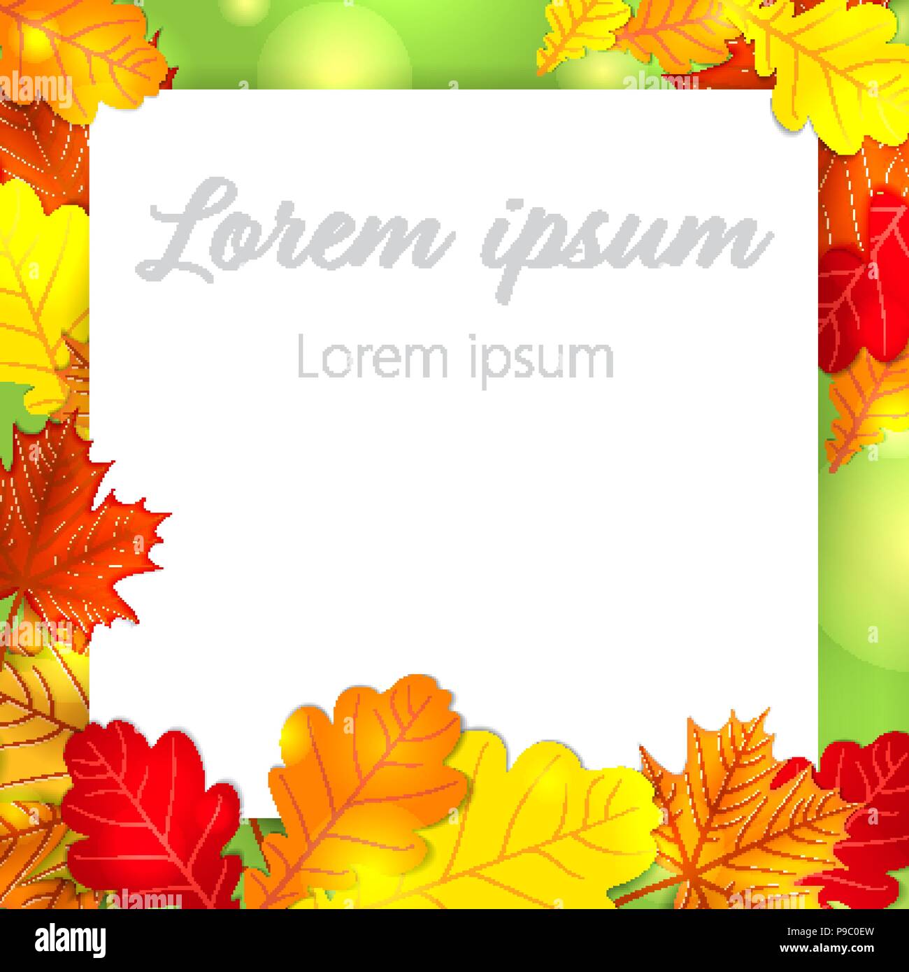 Autumn leaves oak maple background back to school Stock Vector Image ...