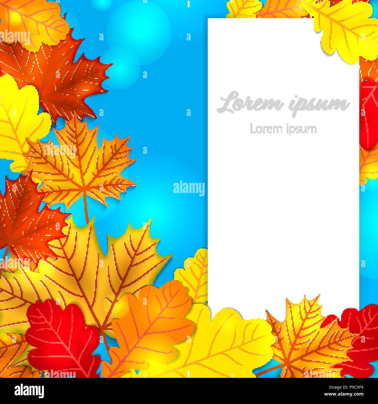 Autumn leaves oak maple background back to school Stock Vector Image ...