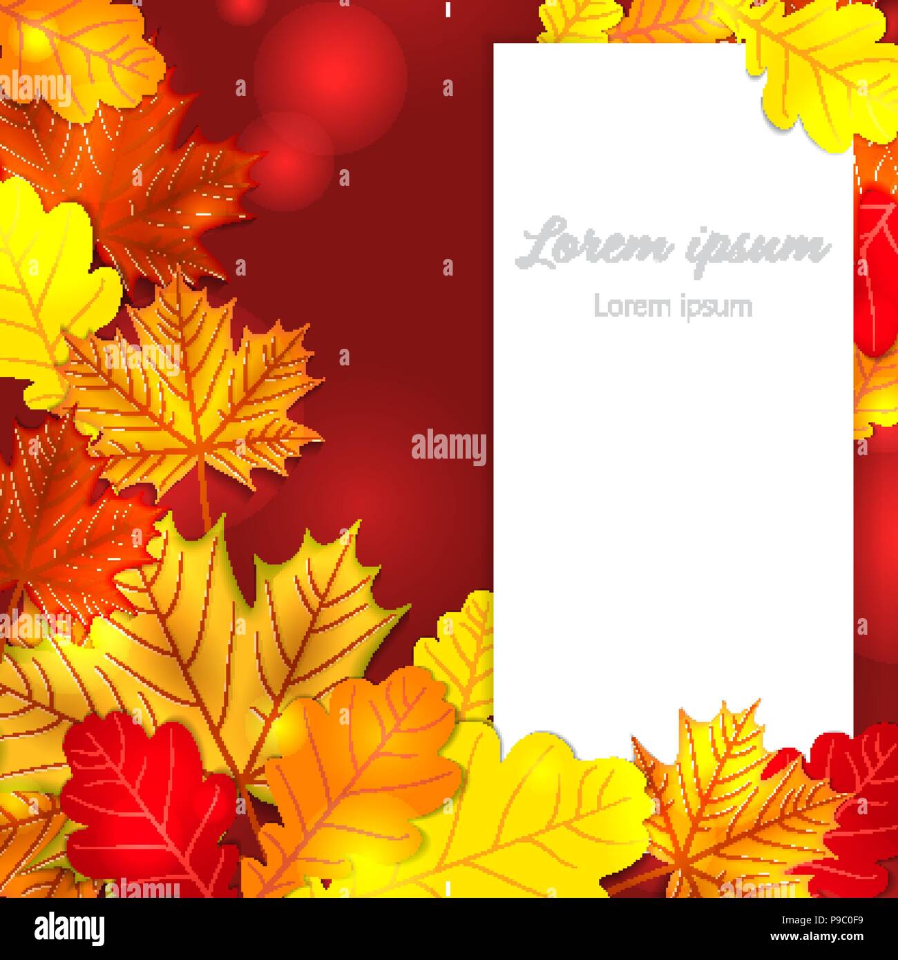 Autumn leaves oak maple background back to school Stock Vector Image ...
