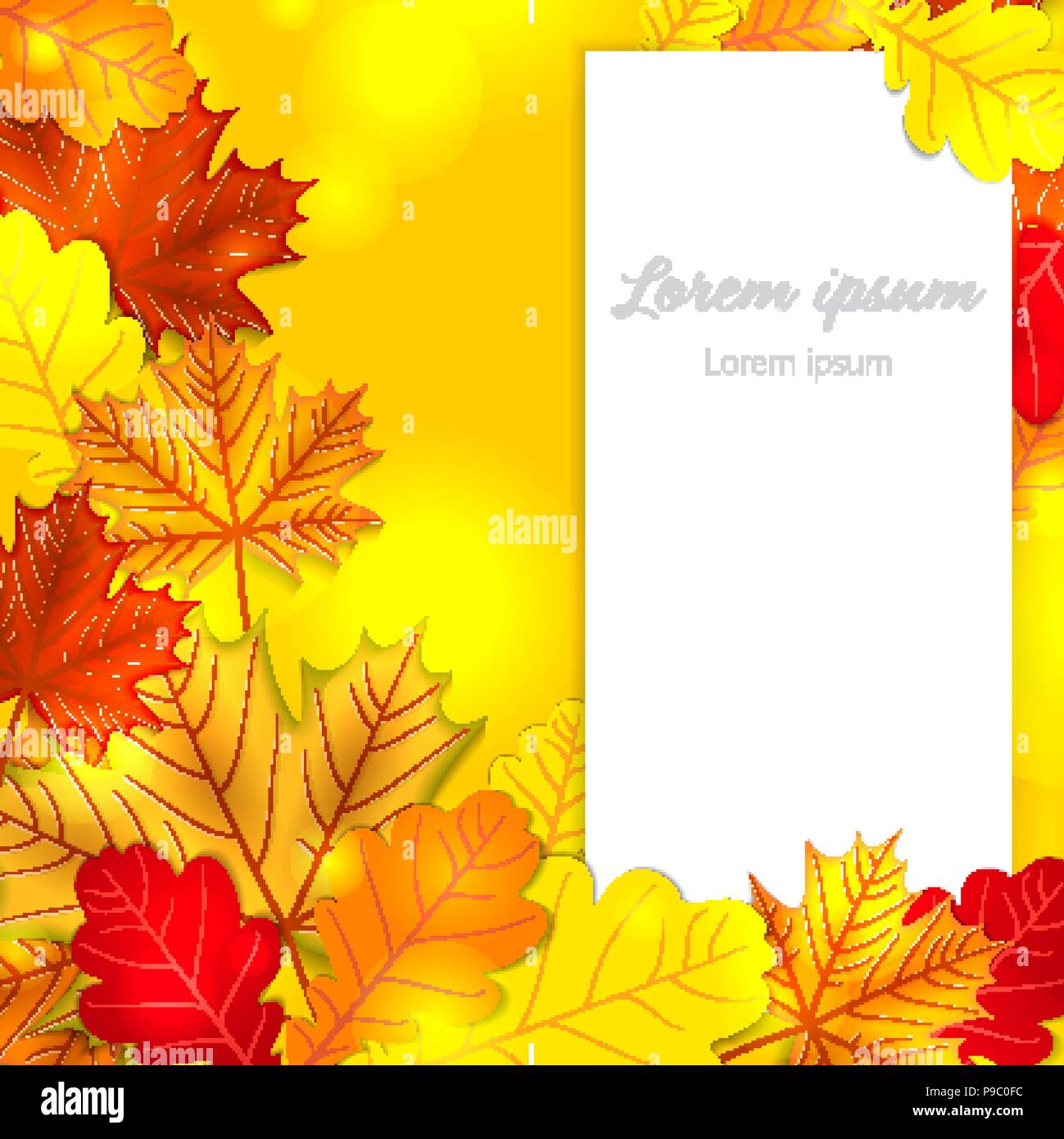 Autumn leaves oak maple background back to school Stock Vector Image ...