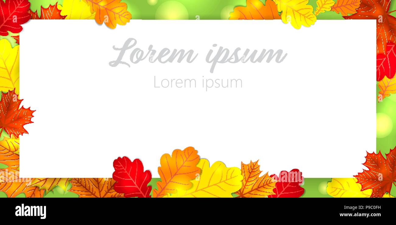 Autumn leaves oak maple background back to school Stock Vector Image ...