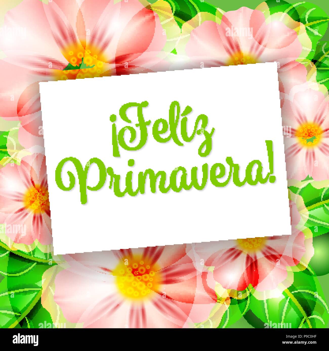 Happy Spring flowers background Feliz Primavera flores Stock Vector ...