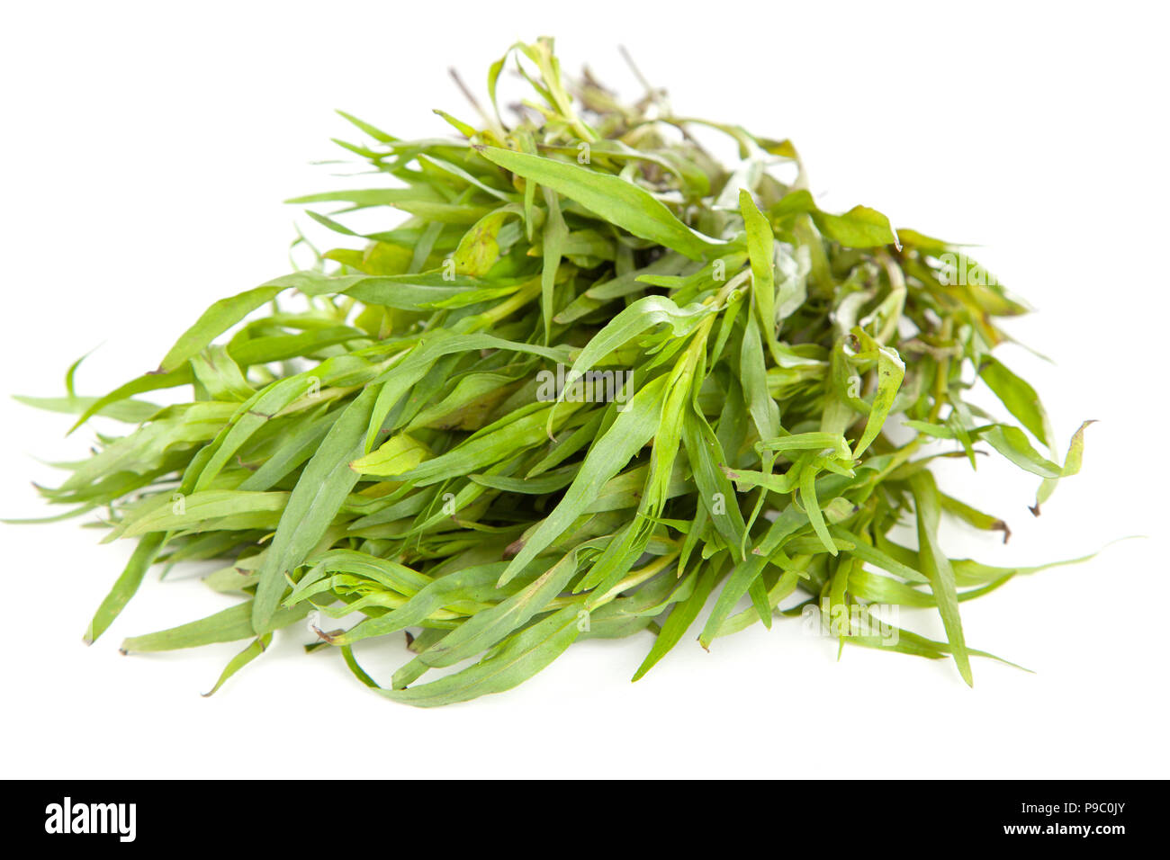 Tarragon leaves hi-res stock photography and images - Alamy