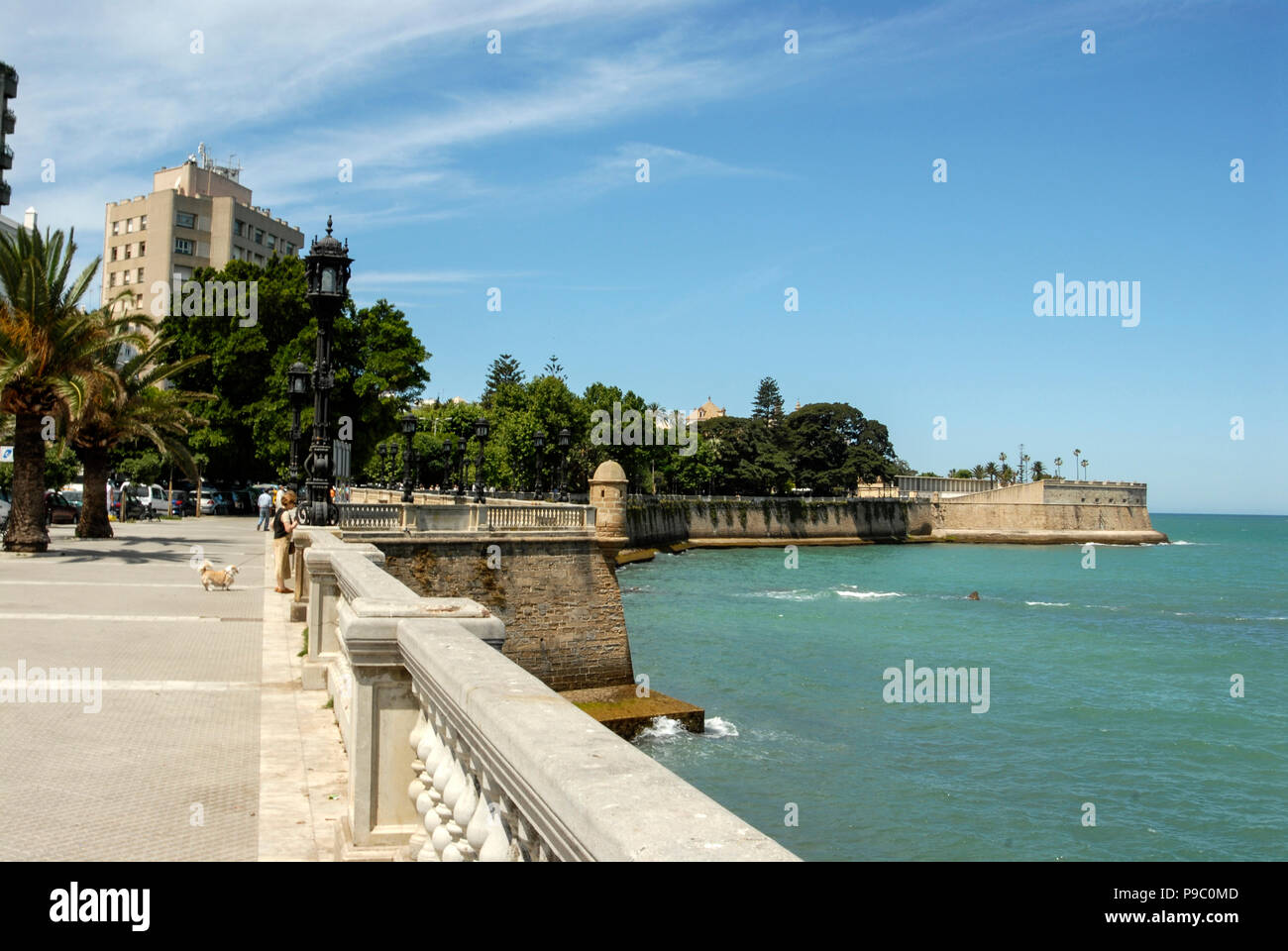 A wide promenade, Paseo Canalejas ( Canalejas Walk) facing the sea from ...