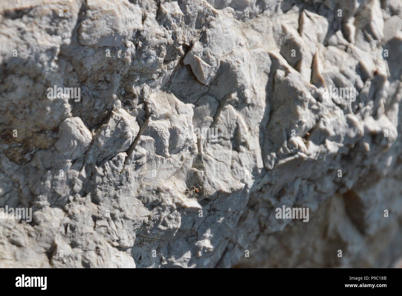 rock texture and background in garden Stock Photo - Alamy